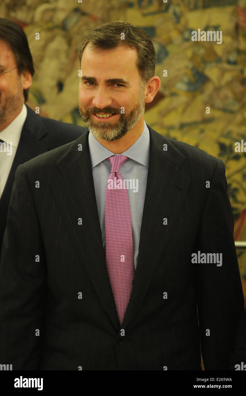 Prince Felipe and Princess Letizia of Spain hold an audience for the ...