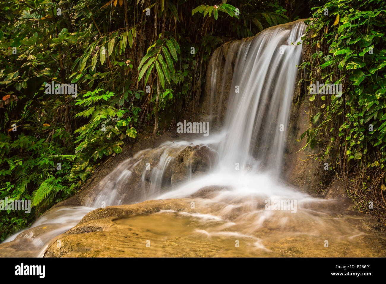 A waterfall at the Turtle River Falls near Ocho Rios, Jamaica Stock ...