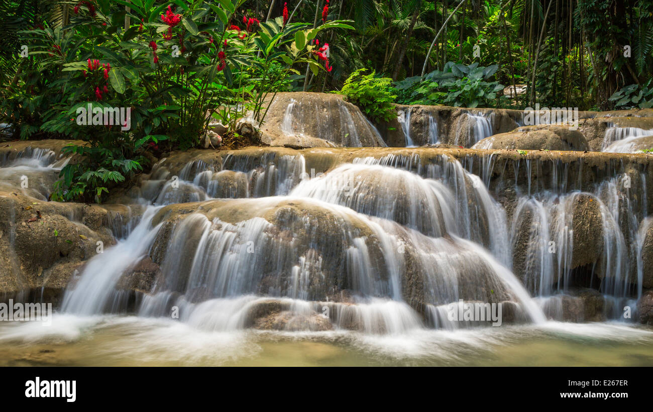 A waterfall at the Turtle River Falls near Ocho Rios, Jamaica Stock ...