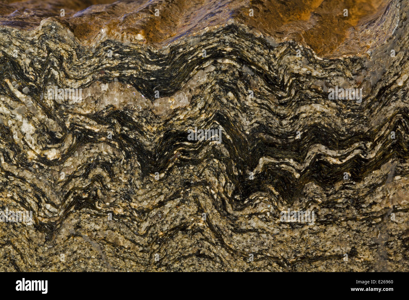 Symmetrical fold hi-res stock photography and images - Alamy