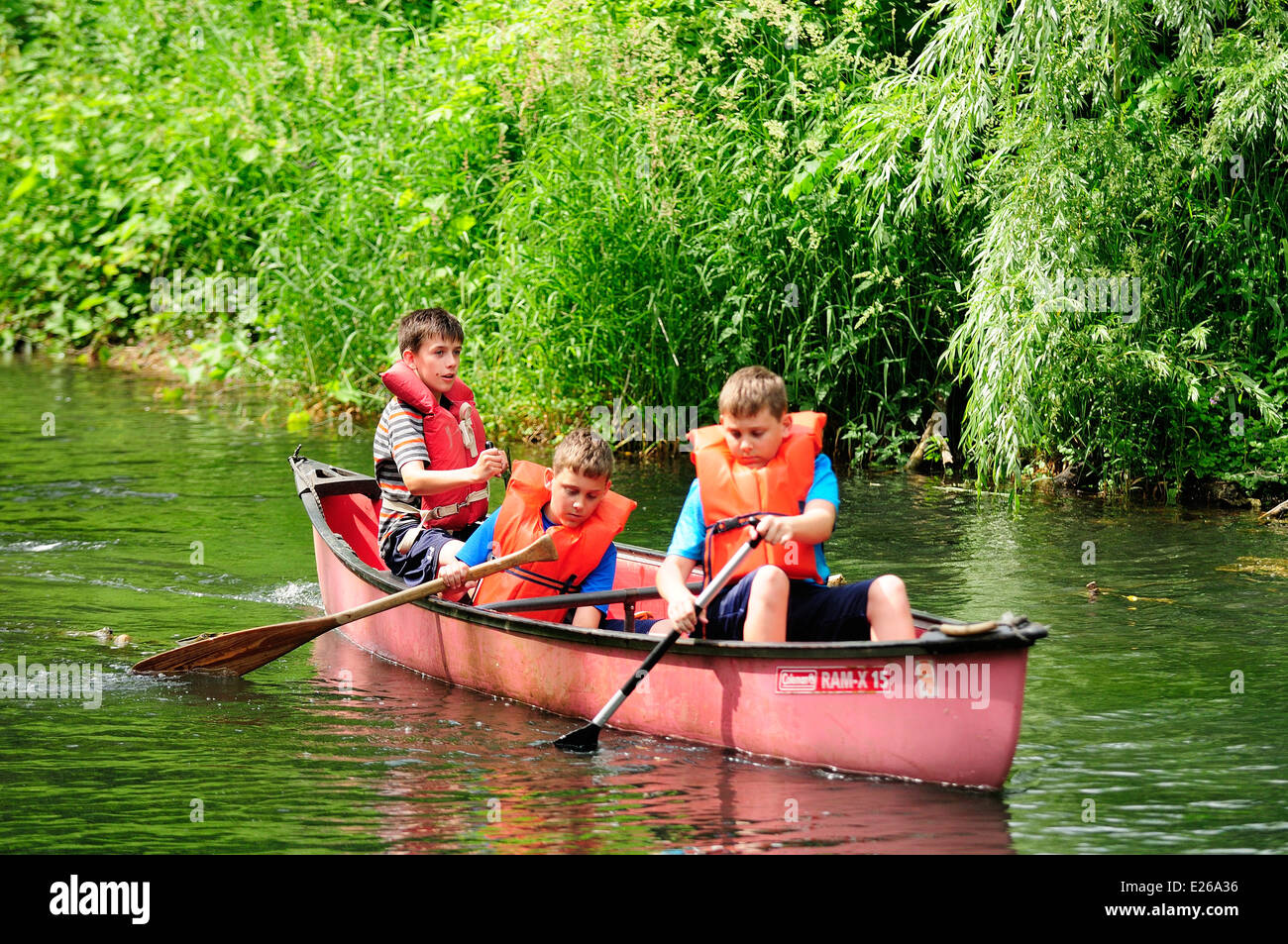 Learning activity hi-res stock photography and images - Alamy