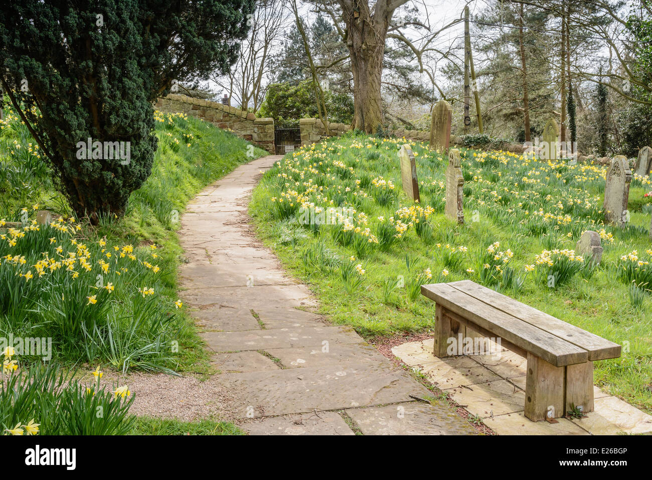 Memorial bench and cemetery hi-res stock photography and images - Alamy