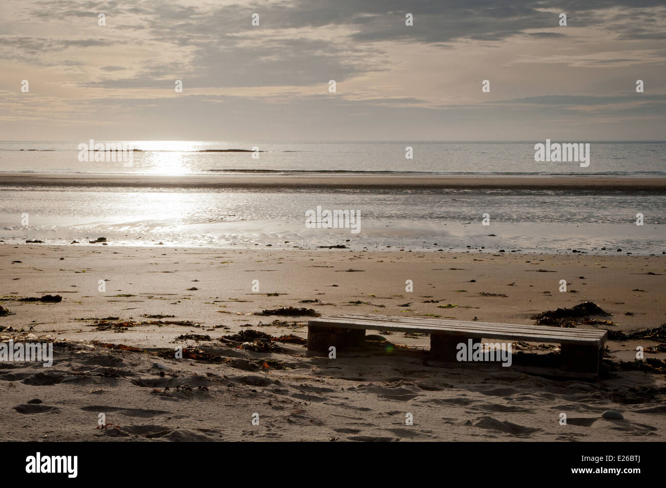 Drift wood on beach Stock Photo - Alamy