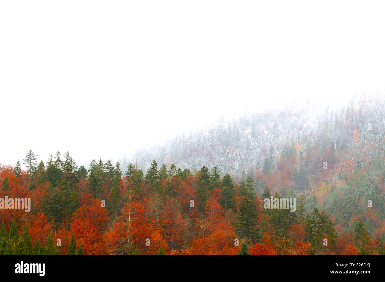 Onset of winter in the alps Stock Photo - Alamy