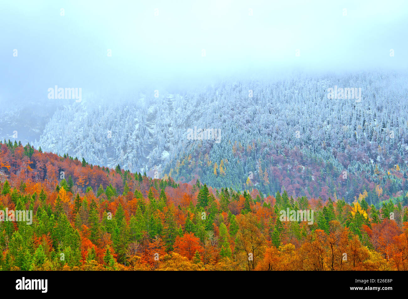 Onset of winter in the mountains Stock Photo - Alamy