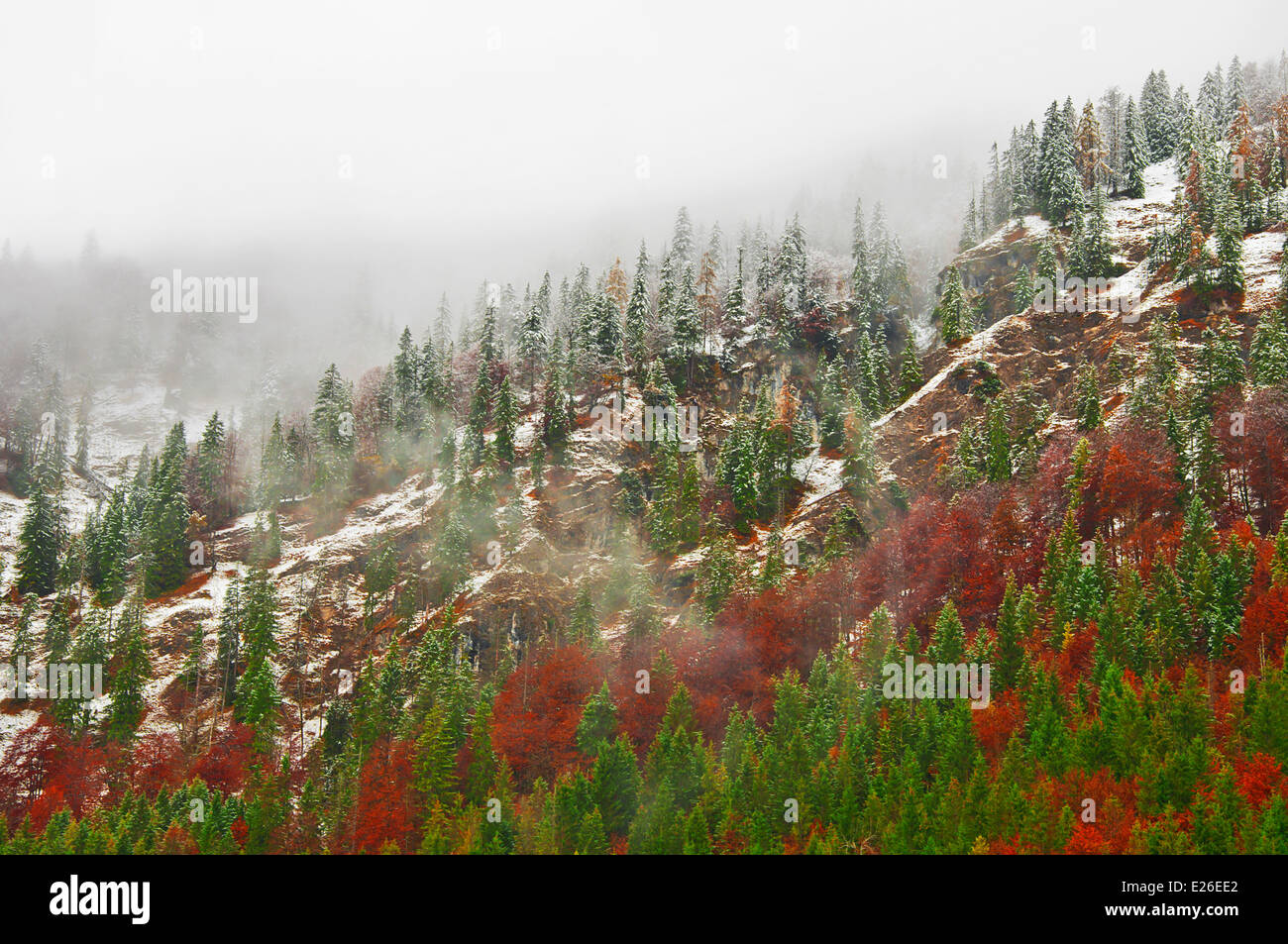 Onset hi-res stock photography and images - Alamy