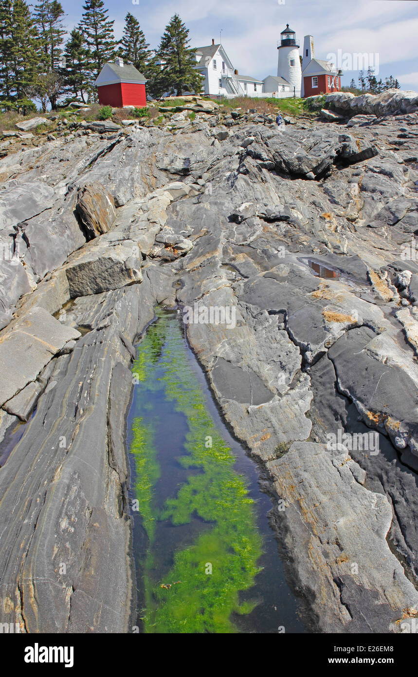 Maine coast Pemaquid Point Lighthouse Stock Photo - Alamy
