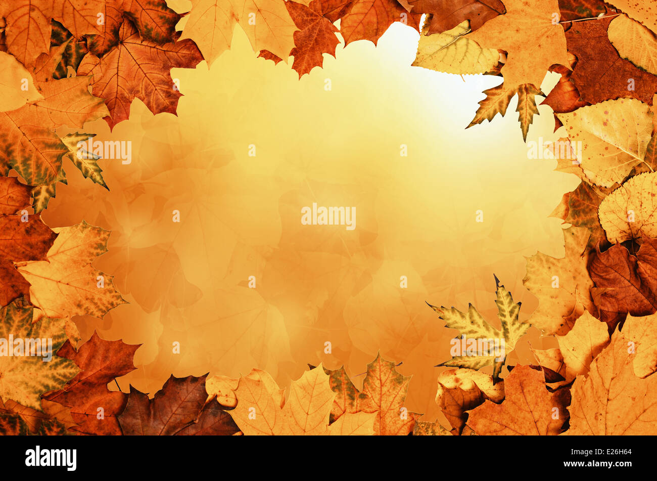 Autumn leaves frame Stock Photo - Alamy