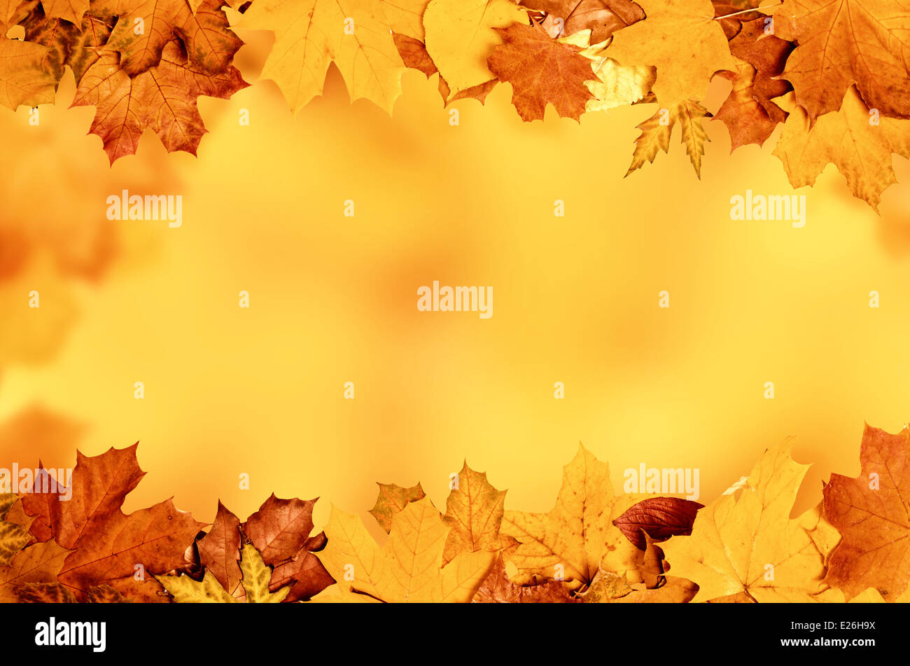 Autumn leaves frame Stock Photo - Alamy