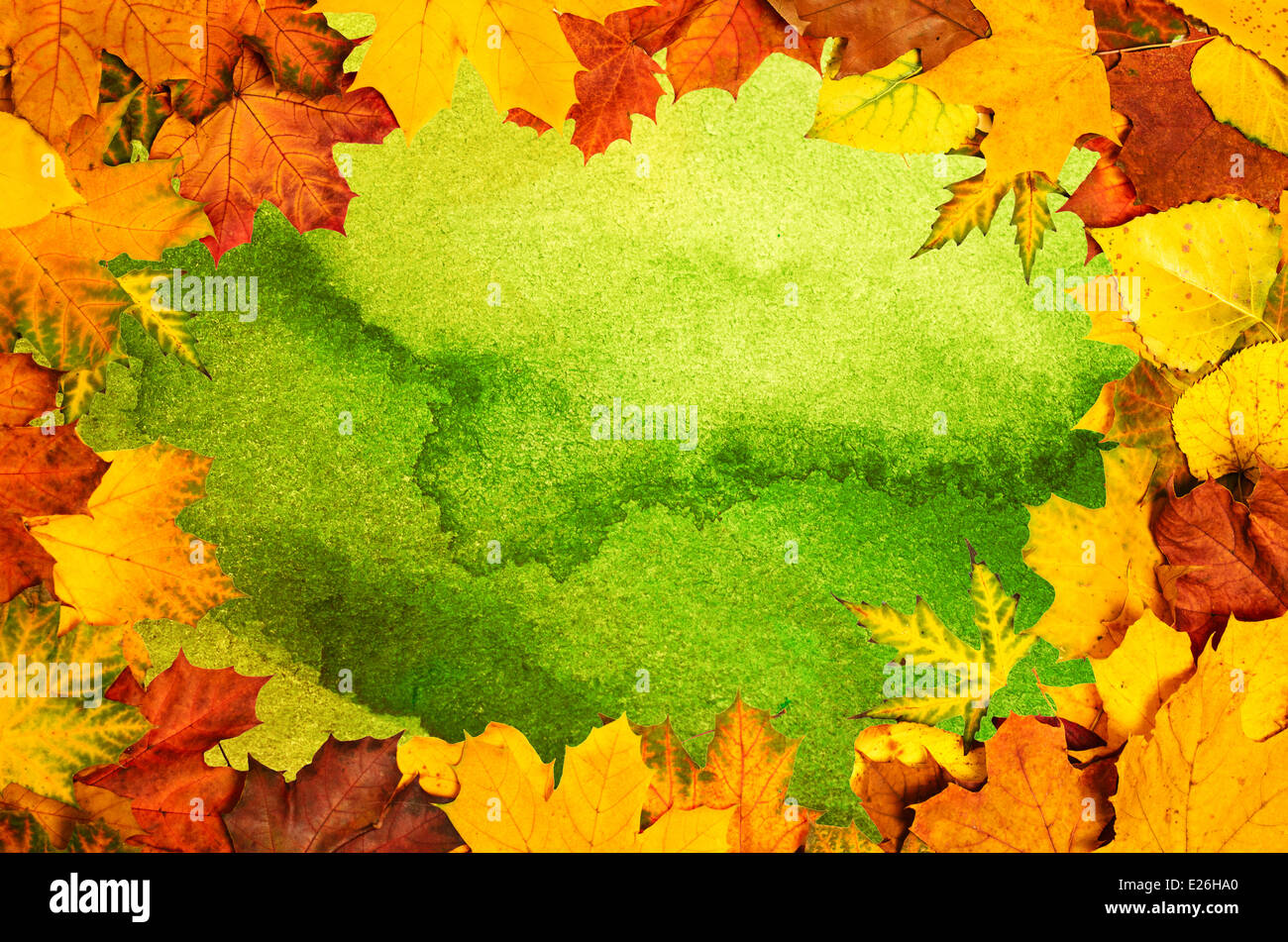 Autumn leaves frame Stock Photo - Alamy