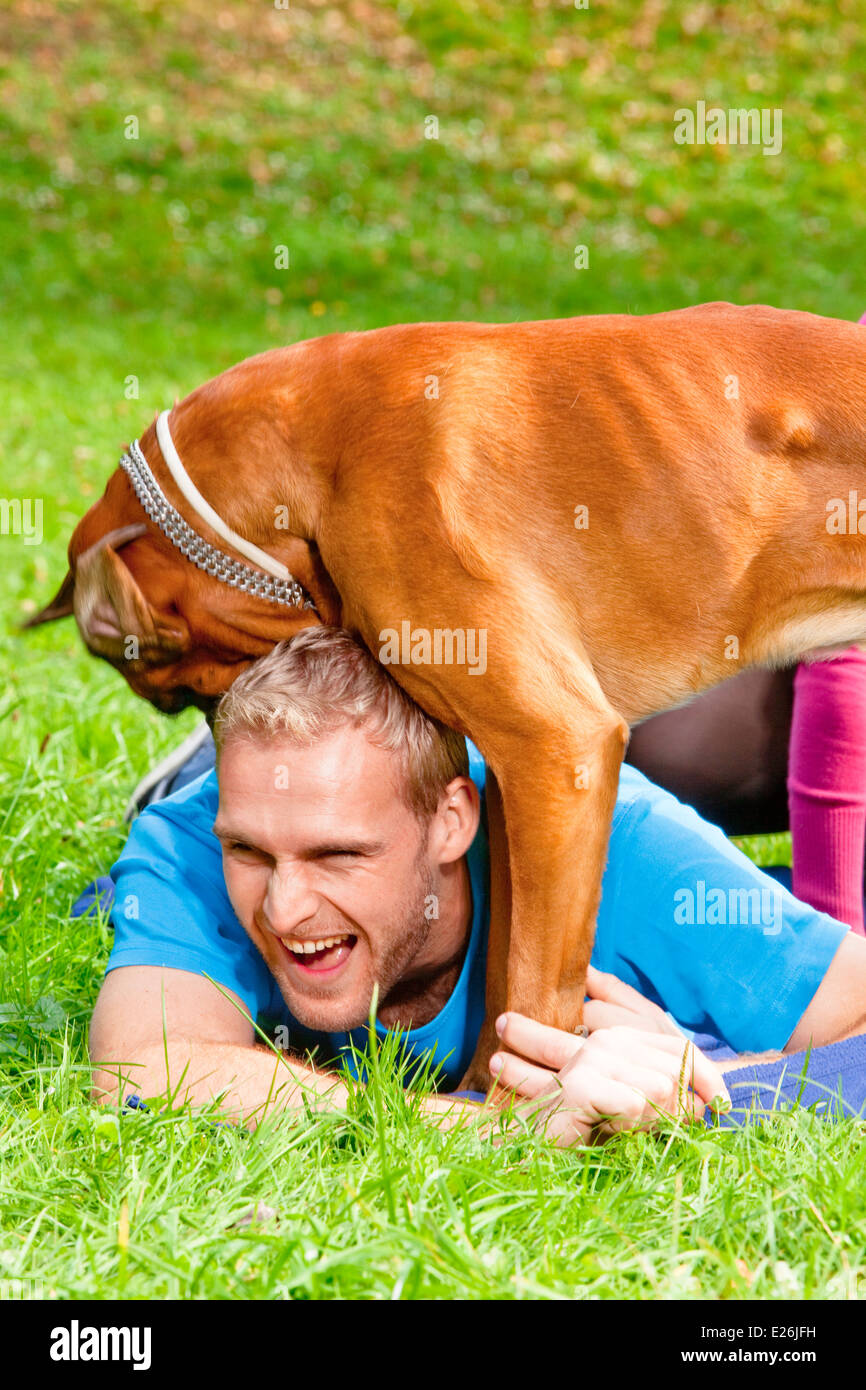 Happy Young Man Playing with his Dog in the Park Stock Photo - Alamy