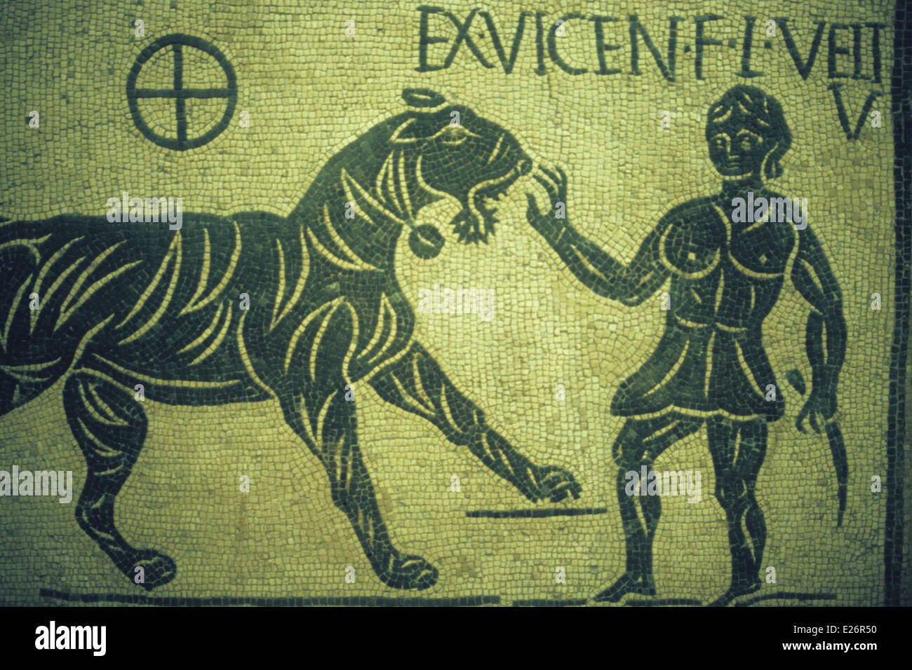 Ancient Rome Mosaic Stock Photos & Ancient Rome Mosaic Stock Images - Alamy