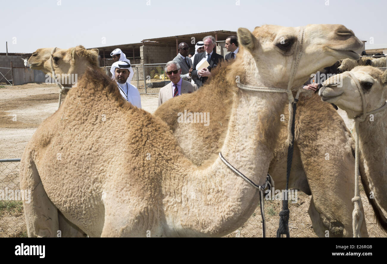 Prince Charles, HRH The Prince of Wales visits the Al Safwa farm in the ...