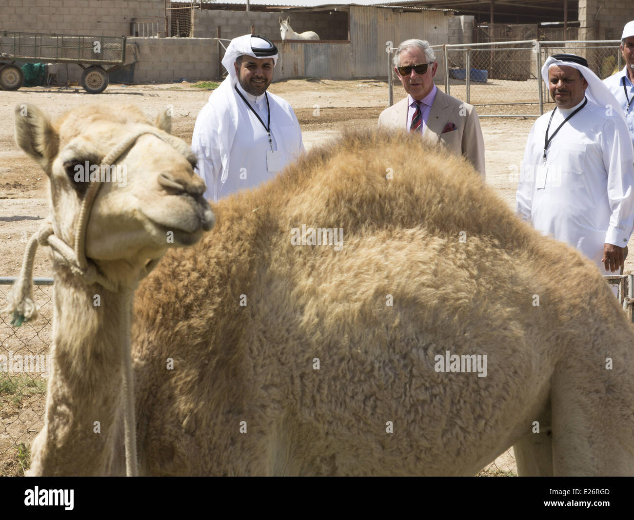 Prince Charles, HRH The Prince of Wales visits the Al Safwa farm in the ...