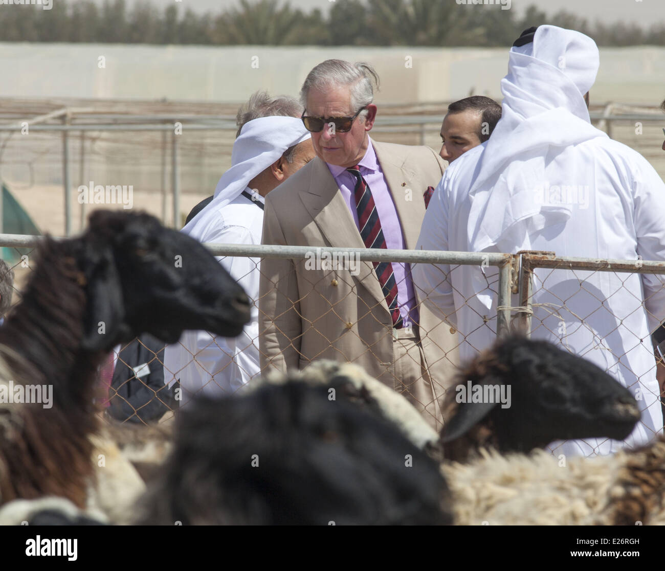 Prince Charles, HRH The Prince of Wales visits the Al Safwa farm in the ...