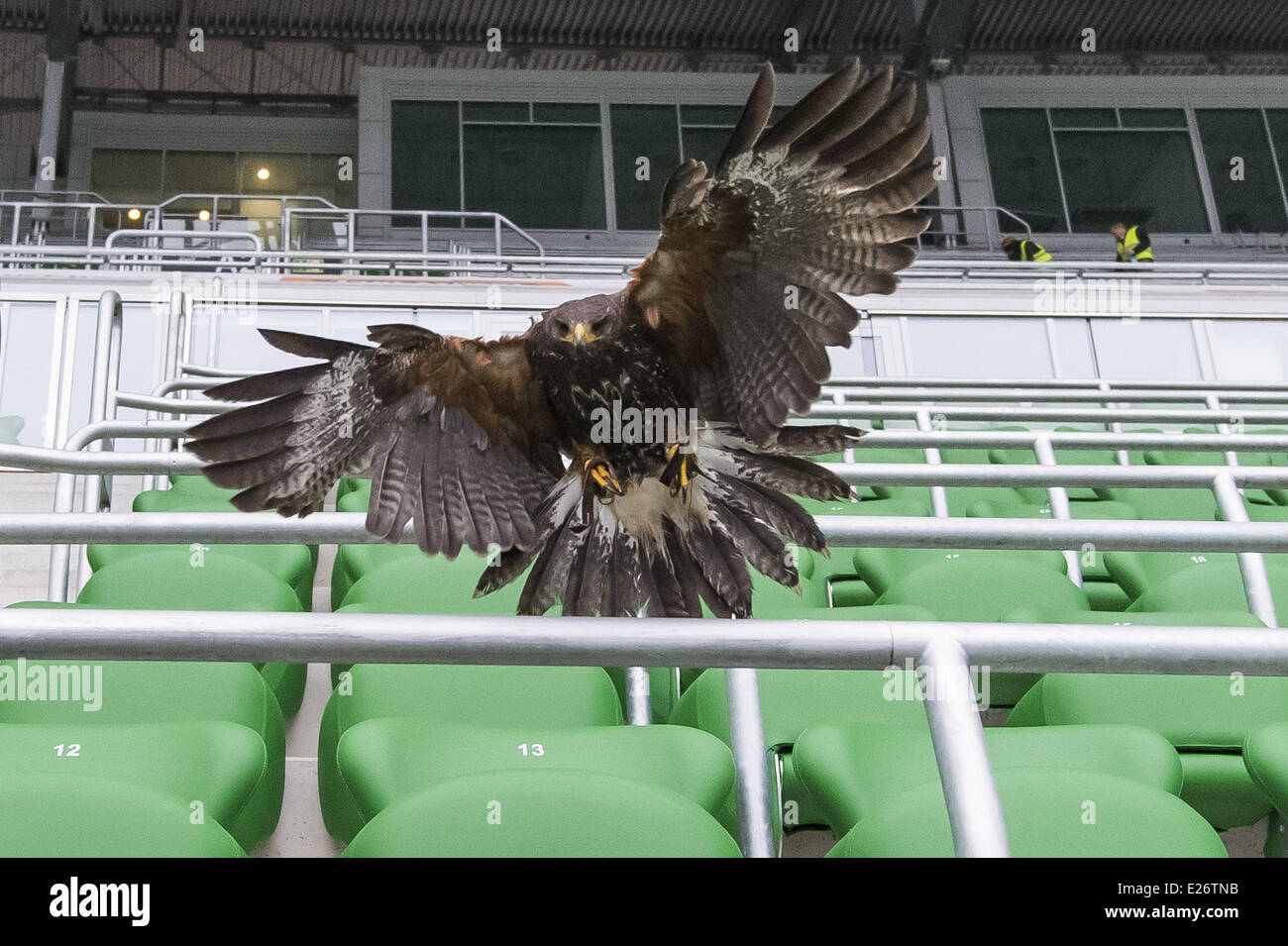 TROJAN HAWK Andrzej Trojan the ground keeper at the Stadion Miejski ...