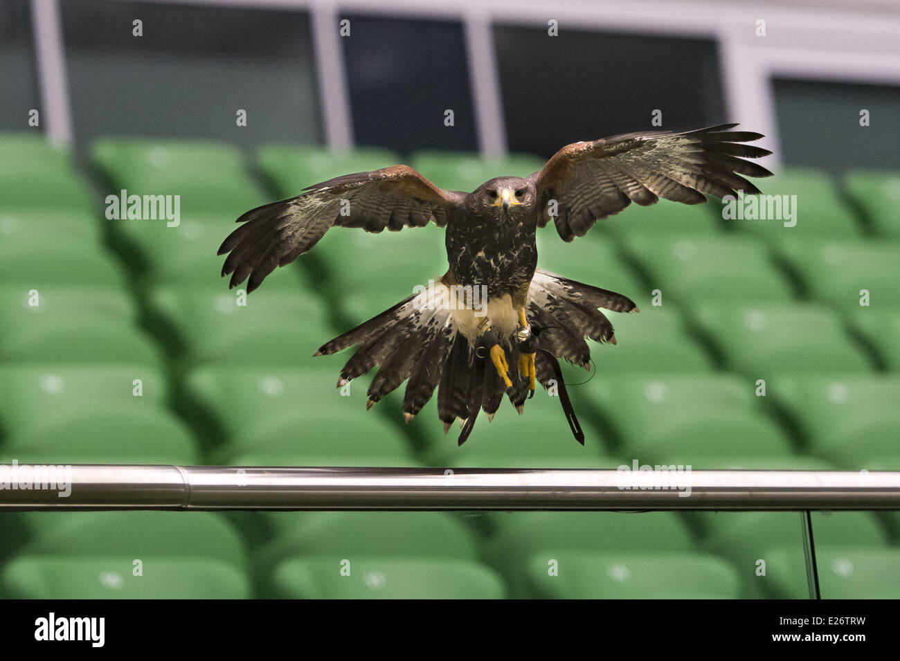 TROJAN HAWK Andrzej Trojan the ground keeper at the Stadion Miejski ...