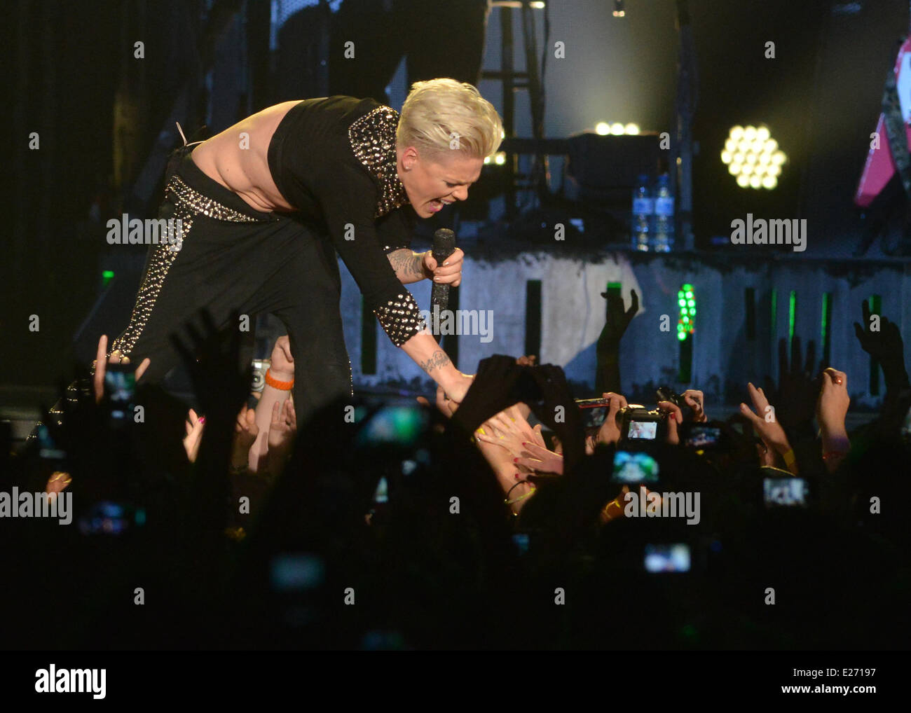 Pink performing live in concert at Bercy Featuring: Pink,Alecia Moore ...