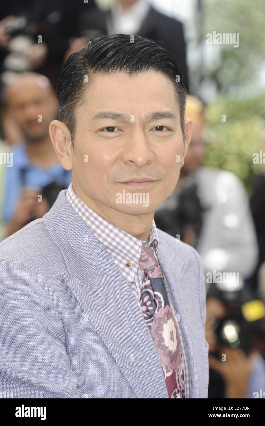 Andy Lau poses for 'Blind detective' photocall during the 66th Cannes ...