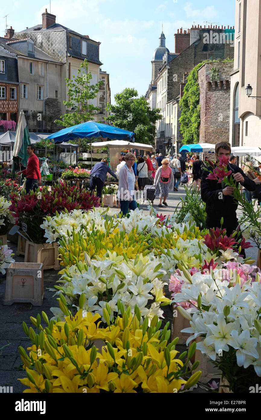 flower market, rennes, brittany, france Stock Photo - Alamy