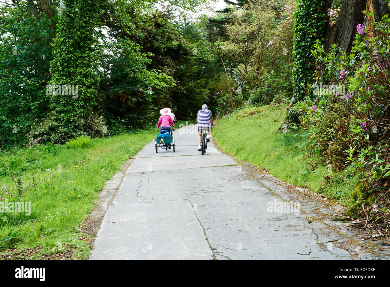 Tourists cycling around Tresco, Isles of Scilly 2014 Stock Photo - Alamy