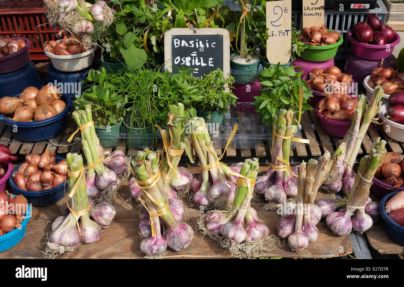 Food stall stalls garlic hi-res stock photography and images - Alamy