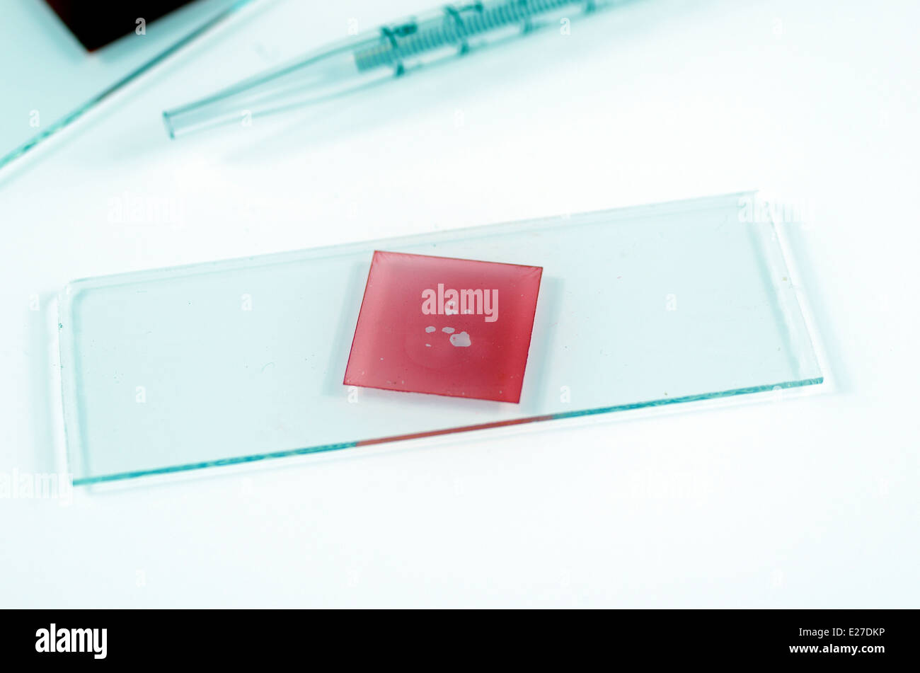 drop of blood on laboratory glass Stock Photo - Alamy