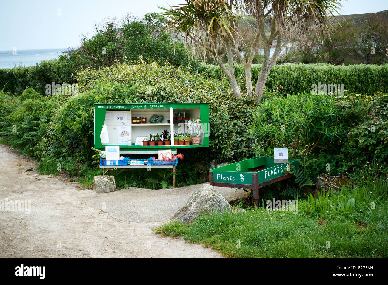 An honesty stall selling plants and flowers, Bryher, Isles of Scilly ...