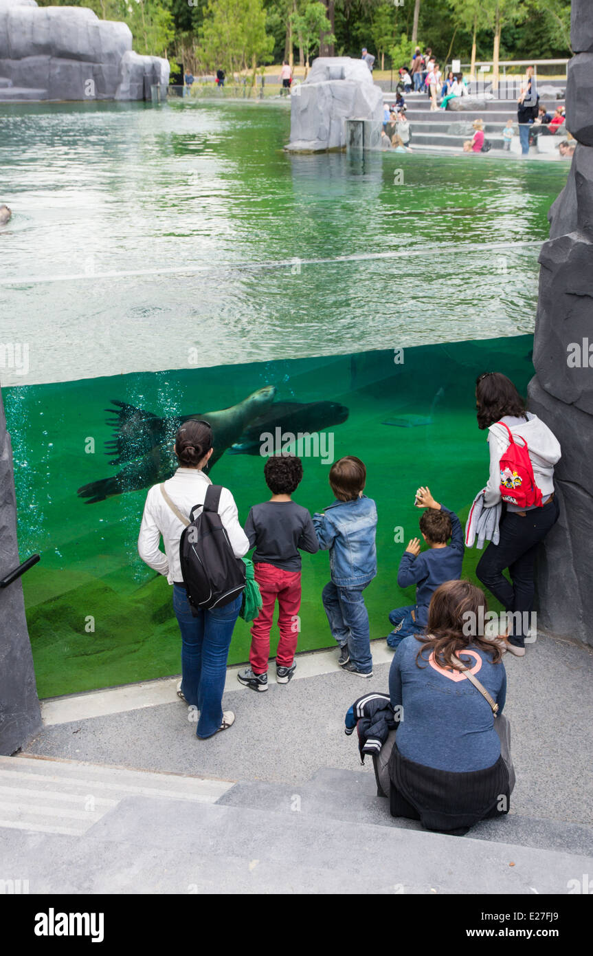 Zoo animal glass hi-res stock photography and images - Alamy