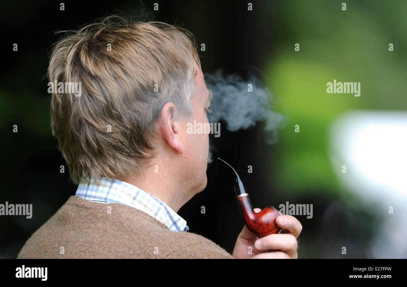 Man smoking a pipe while watching a cricket match at Arundel Stock ...