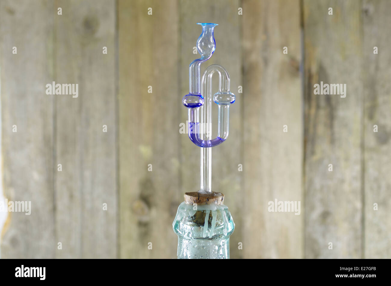 fermentation tube on wood background Stock Photo - Alamy