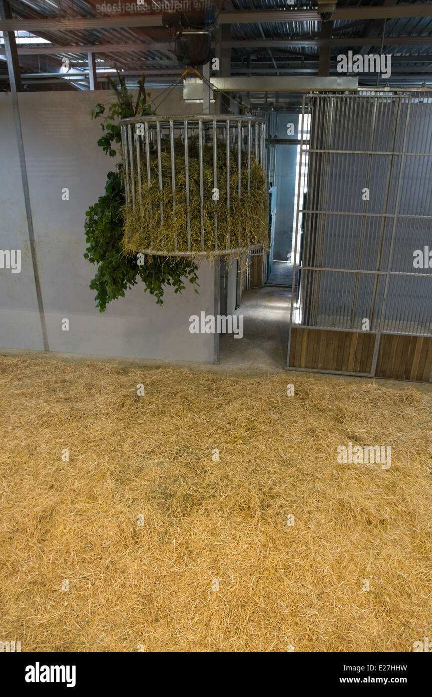Feeder for giraffes, Paris Zoo France Stock Photo - Alamy