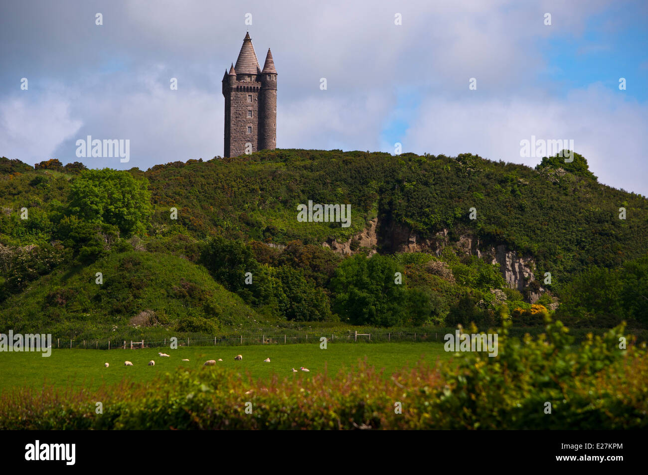 Newtownards hi-res stock photography and images - Alamy