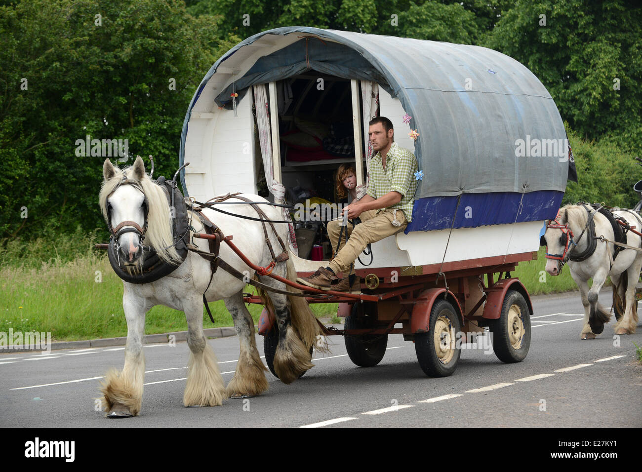 Travellers in bow top horse drawn caravan travelling along busy road in ...