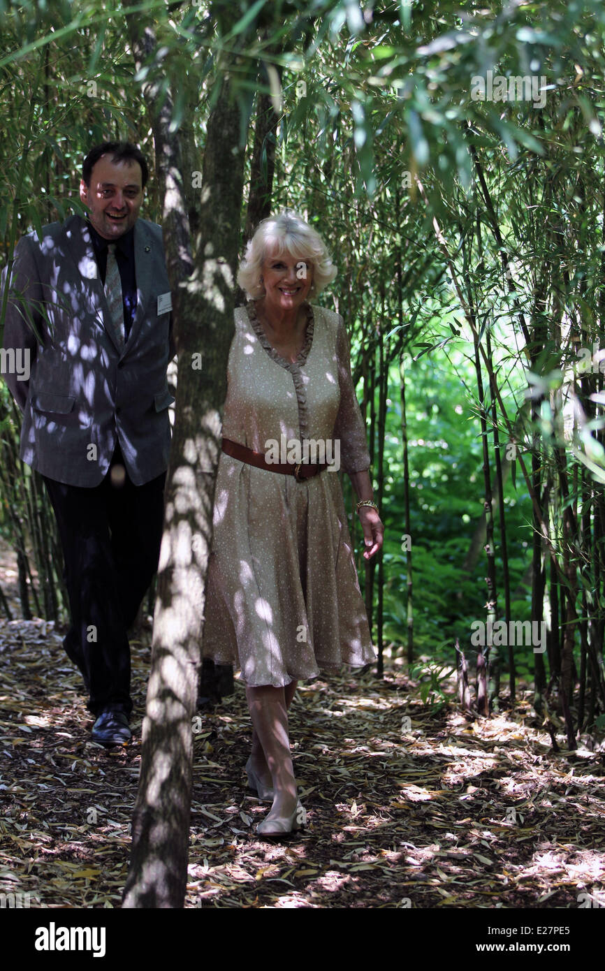 ROMSEY- UK - 09-JULY-2013: ROTA: Camilla, HRH The Duchess of Cornwall ...