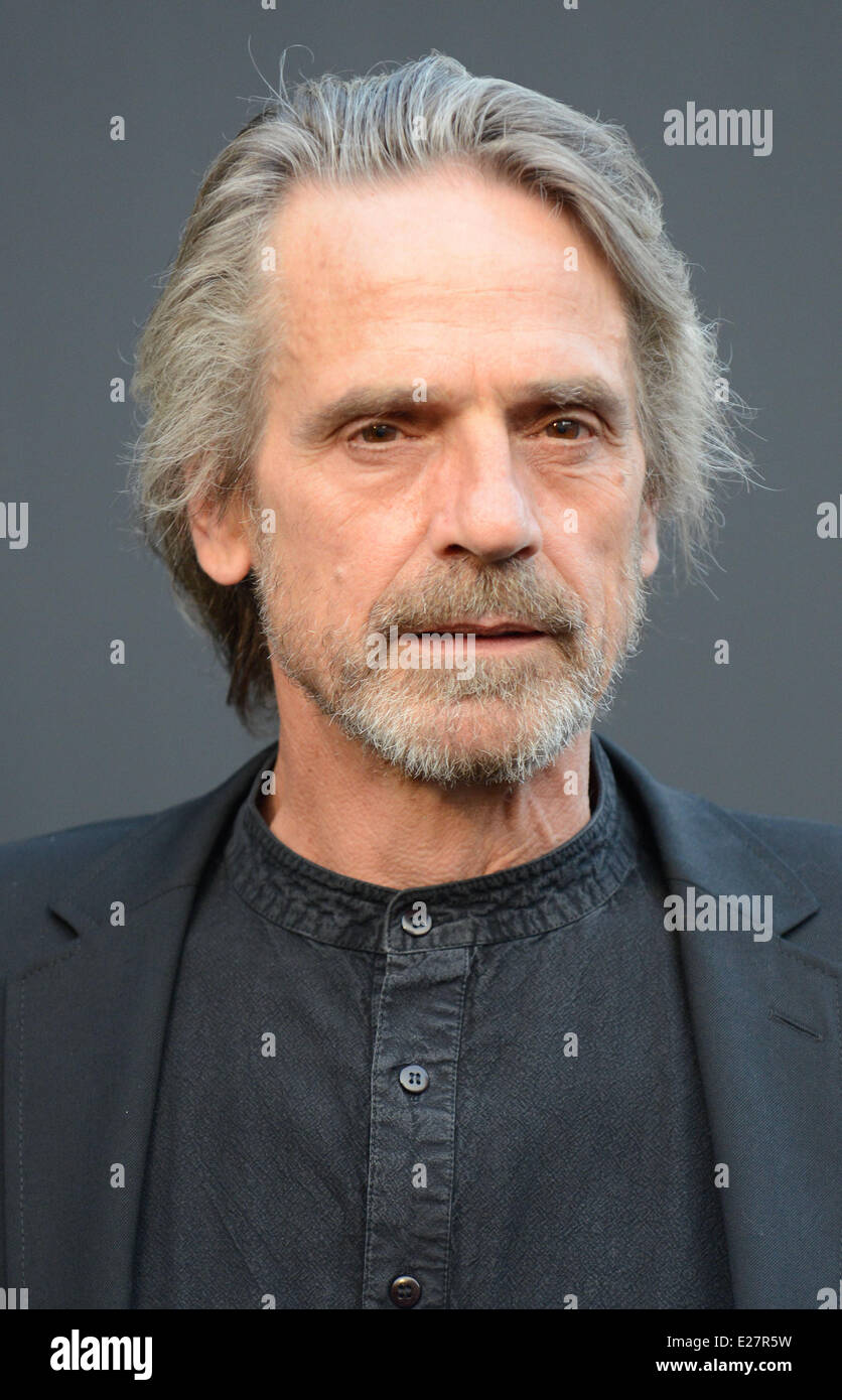 Juliette Binoche, Jeremy Irons and Hilary Swank attend the Official ...