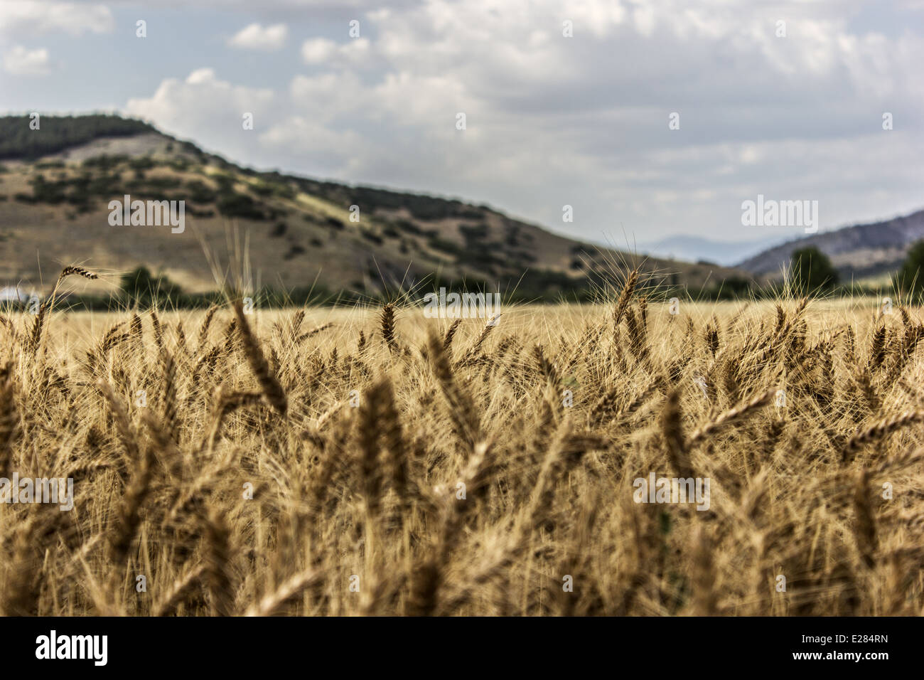 Grain, Old Castle, Greece, 2014, Sky, Cloud, Hills Stock Photo - Alamy