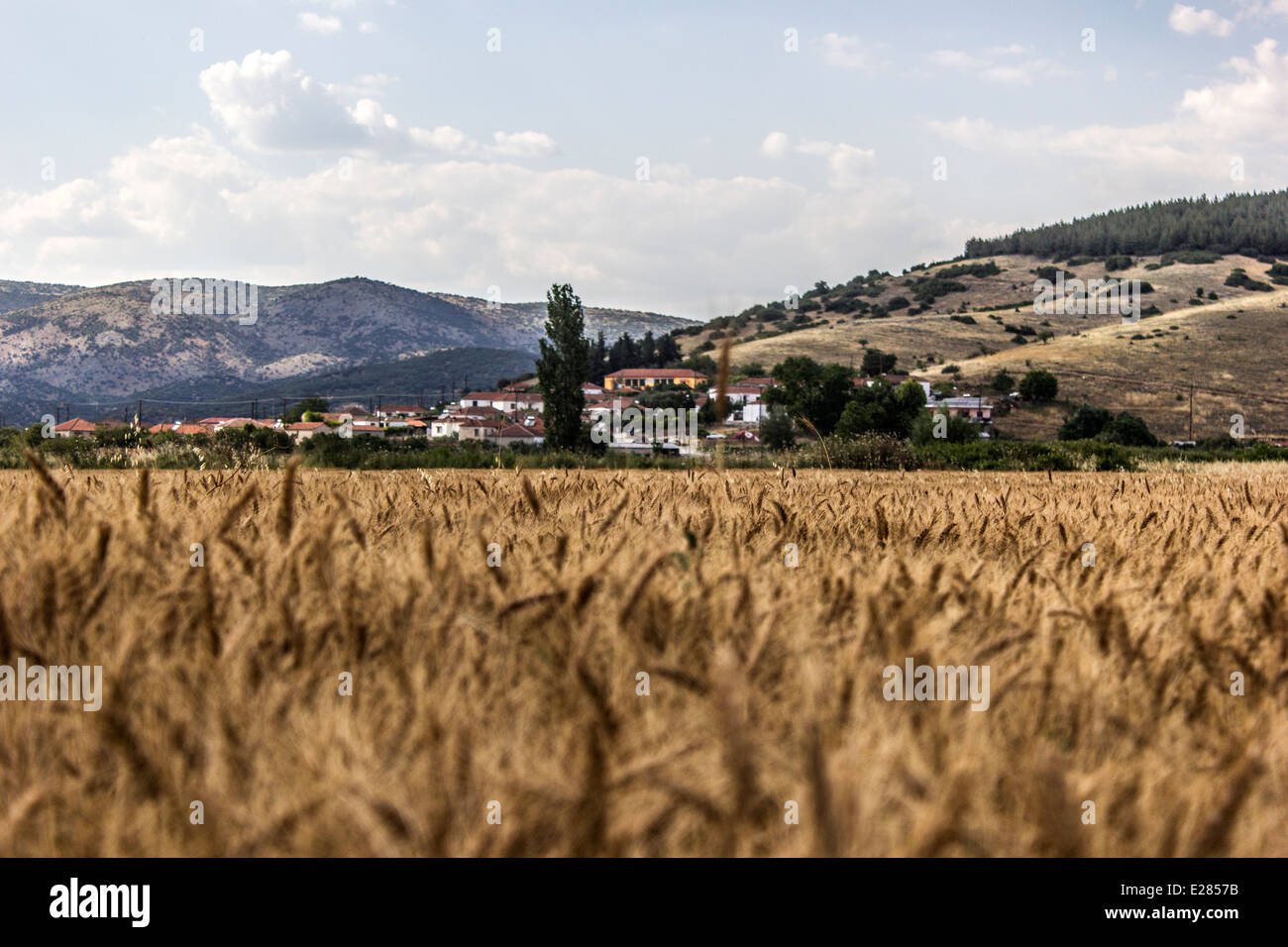 Grain landscape hi-res stock photography and images - Alamy