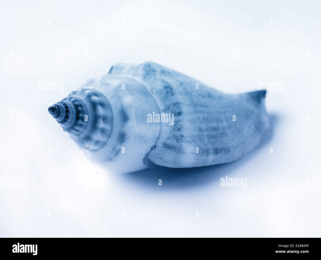 Studio fractal hi-res stock photography and images - Alamy