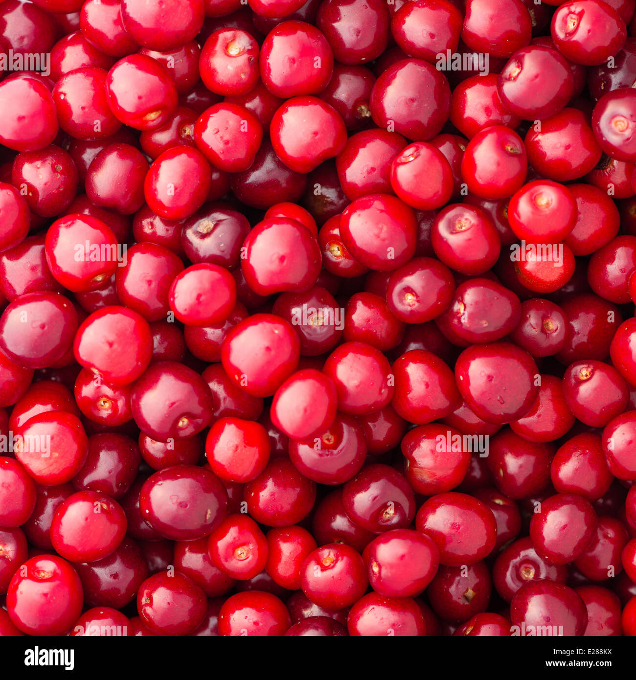 Red cherry background Stock Photo - Alamy