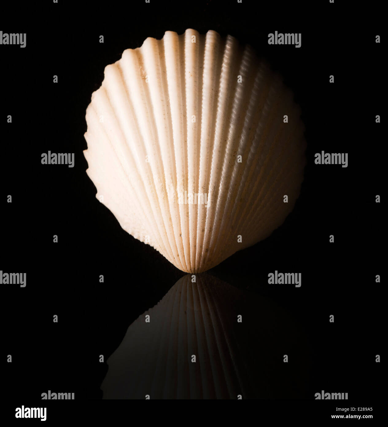 Strong forms hi-res stock photography and images - Alamy