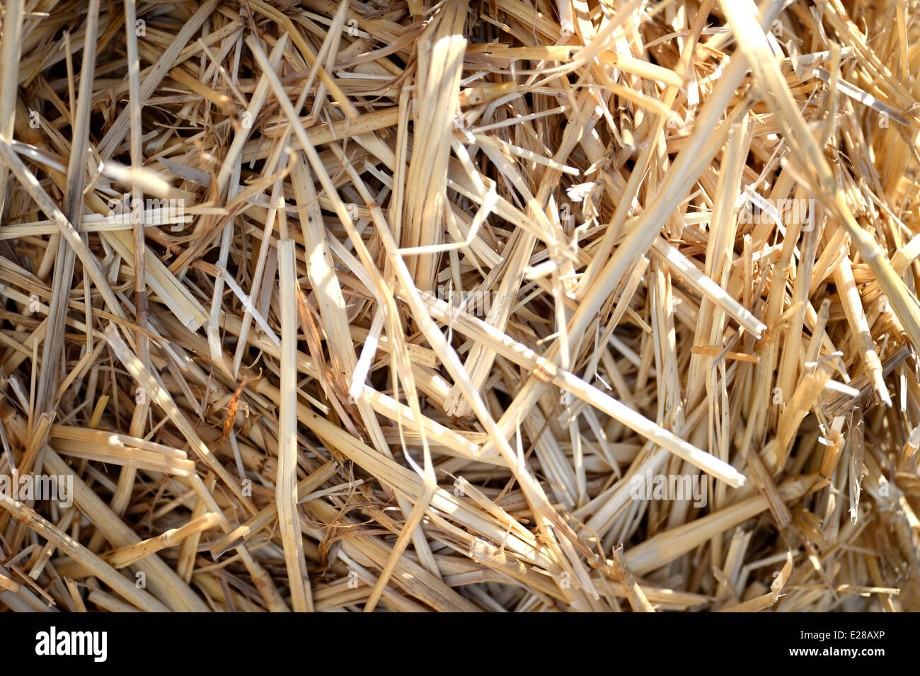 A close up shot of a bale of straw Stock Photo - Alamy