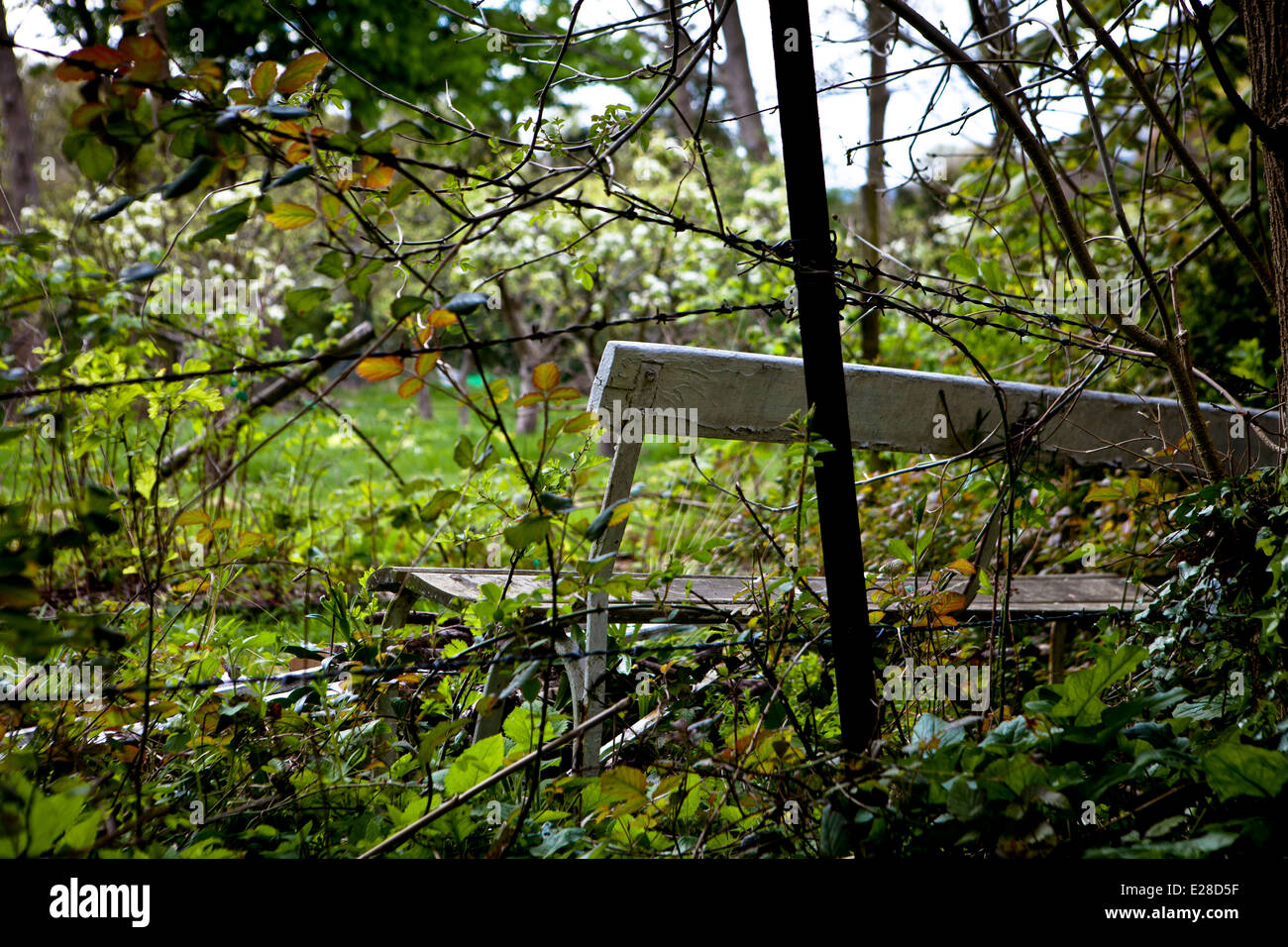 Old bench on overgrown grass bank Stock Photo - Alamy