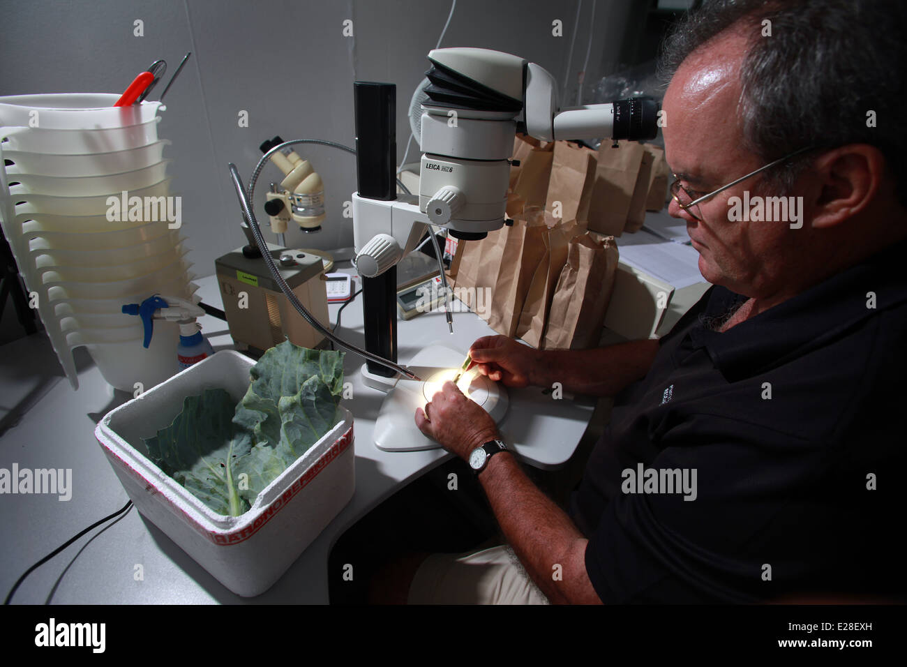 Graham walker hi-res stock photography and images - Alamy