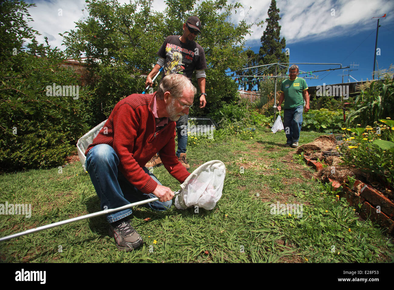 Butterfly catching hi-res stock photography and images - Alamy