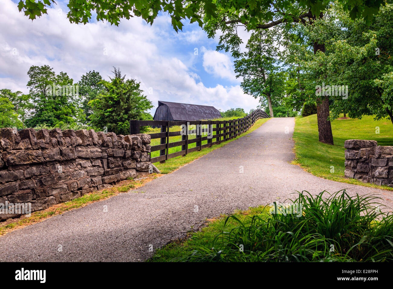 Scenic country alley Stock Photo - Alamy