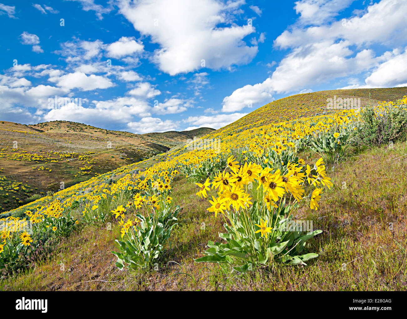 Hills and nature hi-res stock photography and images - Alamy