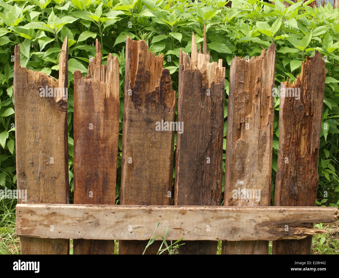 Rotten boards hi-res stock photography and images - Alamy