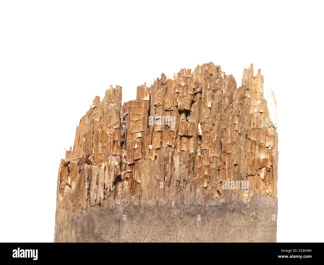 Old rotten boards from one end isolated on white background Stock Photo ...