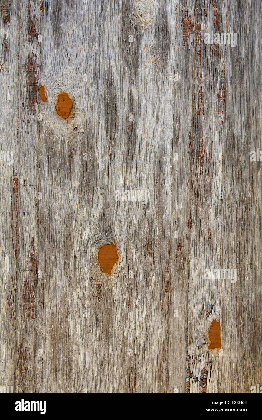 Light Rustic Wood Grain Background